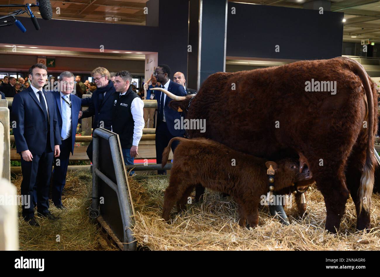 Paris, France. 25th Feb, 2023. Emmanuel Macron looking the cow Ovalie ...