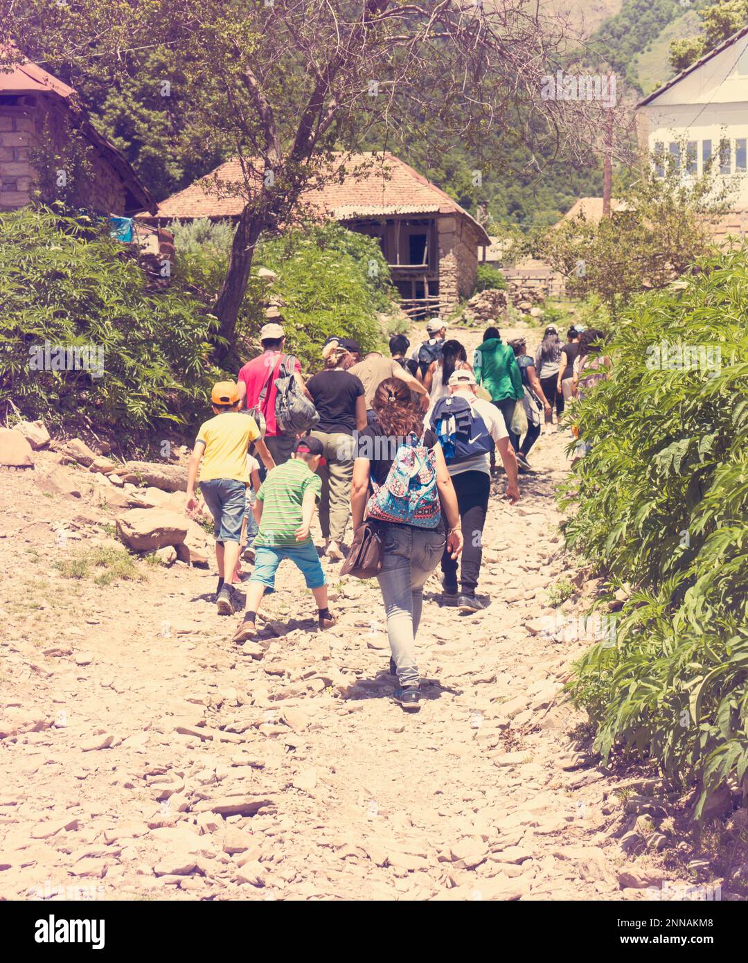 people hiking with backpacks, jungle trekking, group of tourists ...