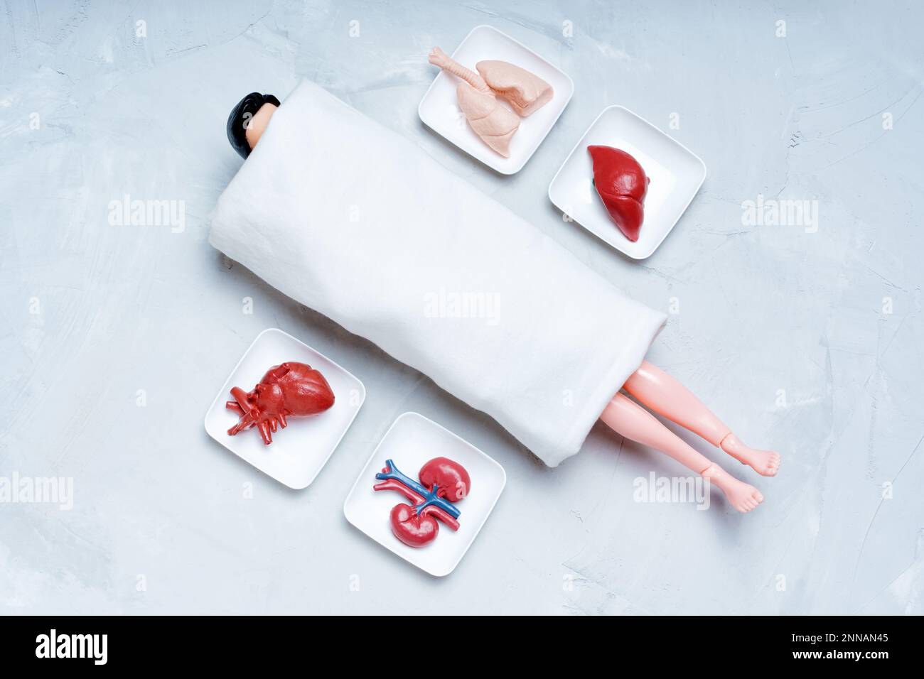 Male doll on the operating table, covered with a sheet, and small white ...