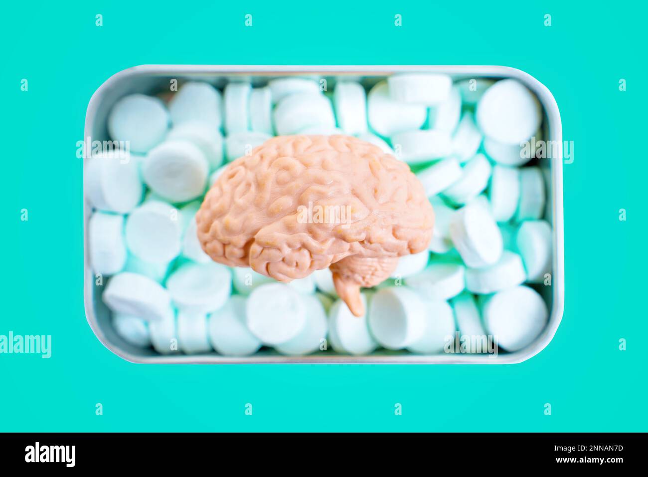 Anatomical copy of a human brain floating over a tin box with breath ...