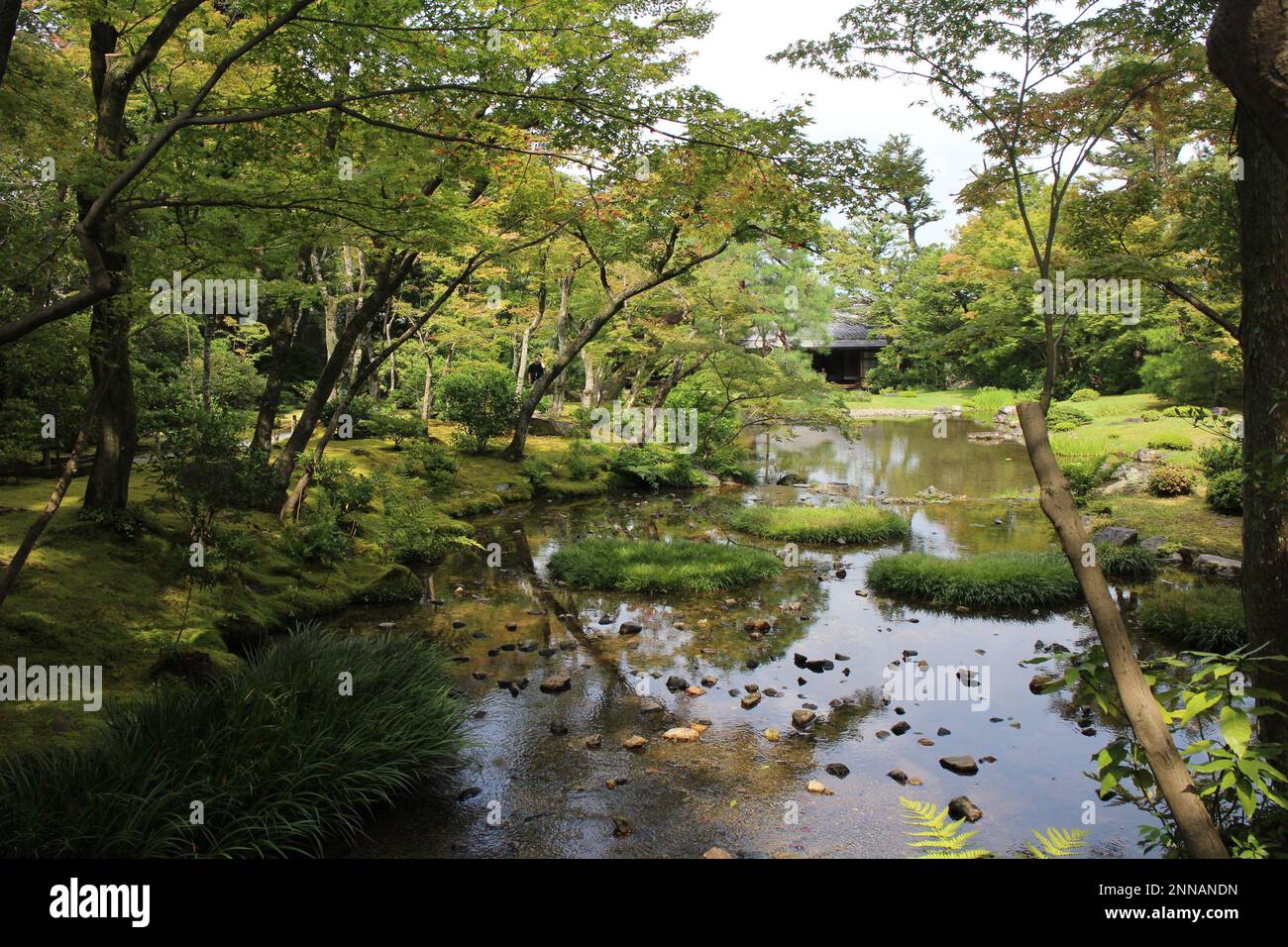 Murin an kyoto hi-res stock photography and images - Alamy