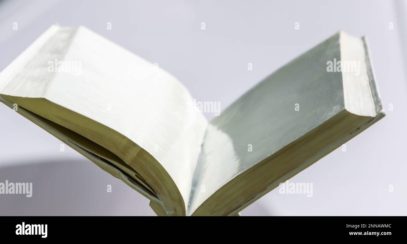 blank white open book on a uniform backgroundblank white open book on a ...