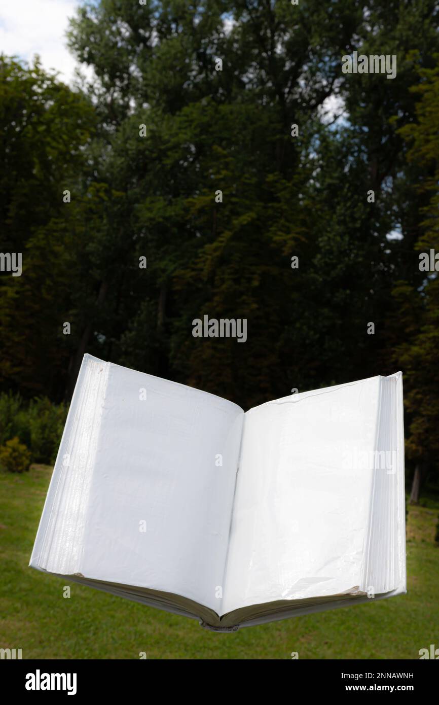 blank white open book on a uniform backgroundblank white open book on a ...