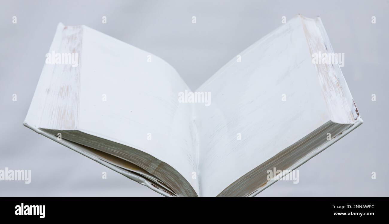 blank white open book on a uniform backgroundblank white open book on a ...