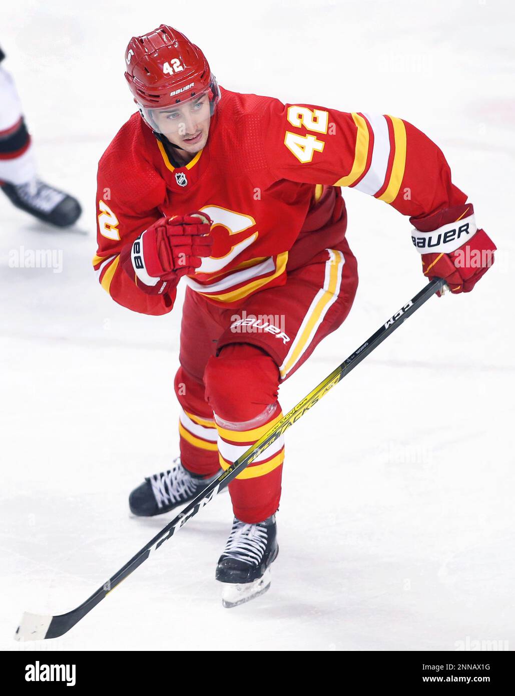NHL profile photo on Calgary Flames player Glenn Gawdin at a game ...