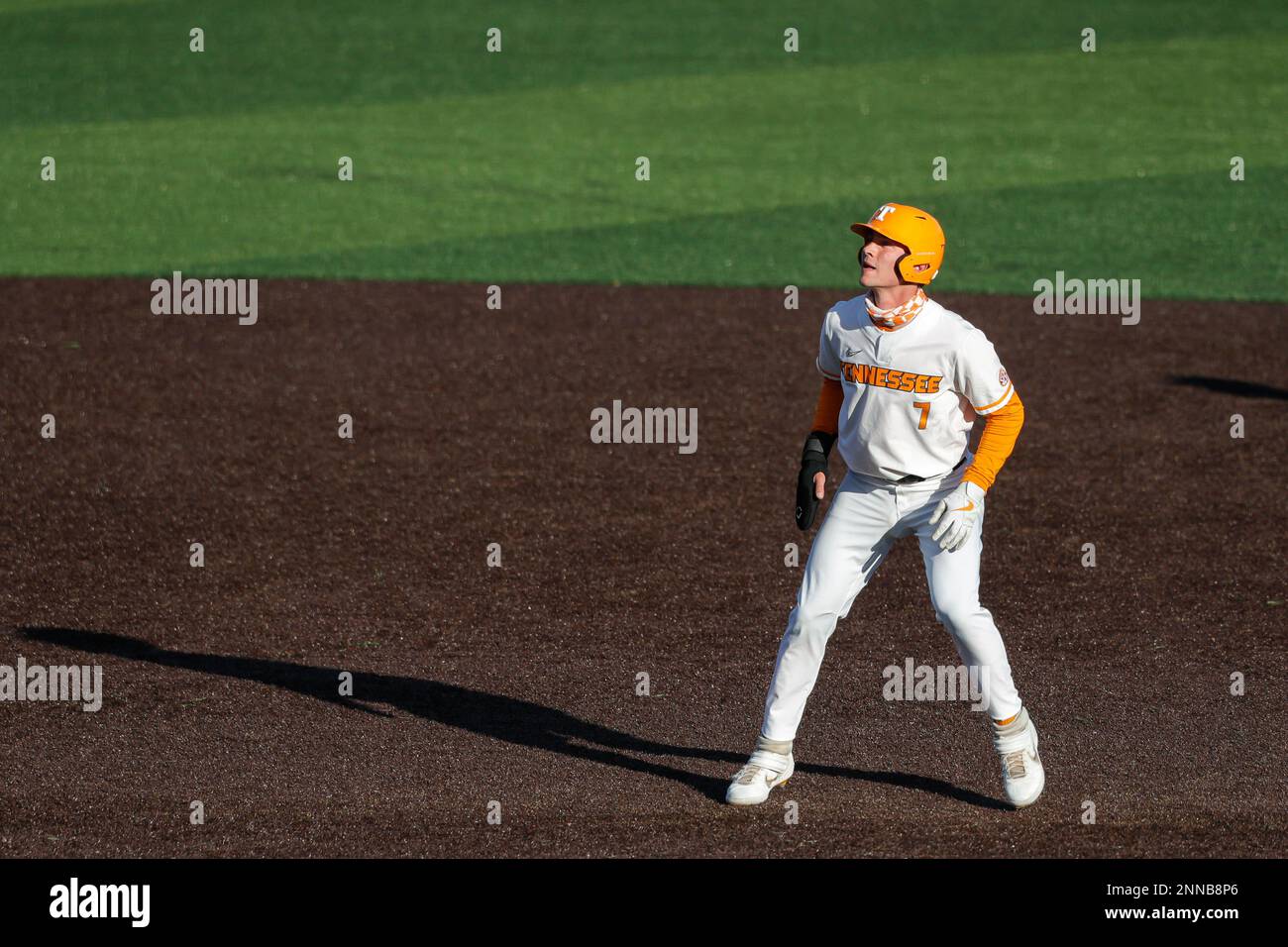 Tennessee Volunteers third baseman Jake Rucker (7) in action against ...