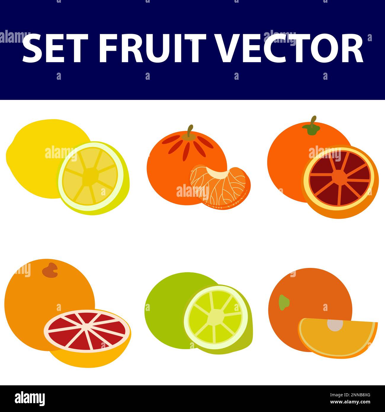 Collection of citrus slices - orange, lemon, lime and grapefruit, icons ...