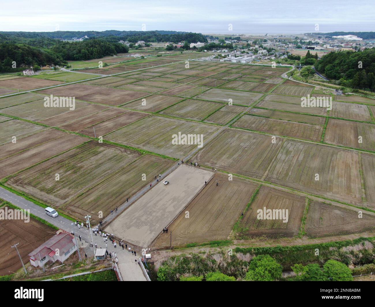 First rice planting since the nuclear disaster in FutabaRice planting ...