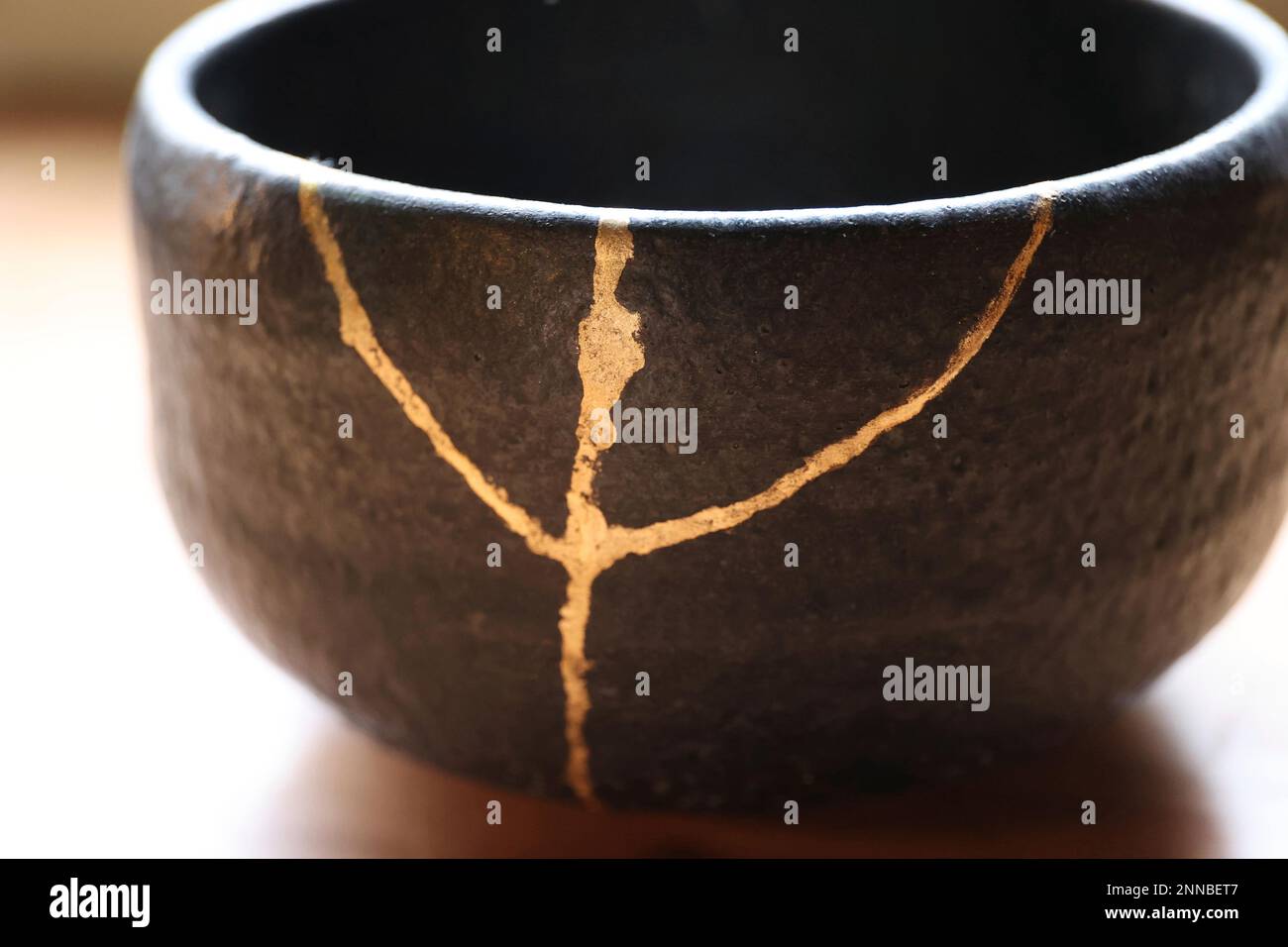 Porcelain Repair Methods