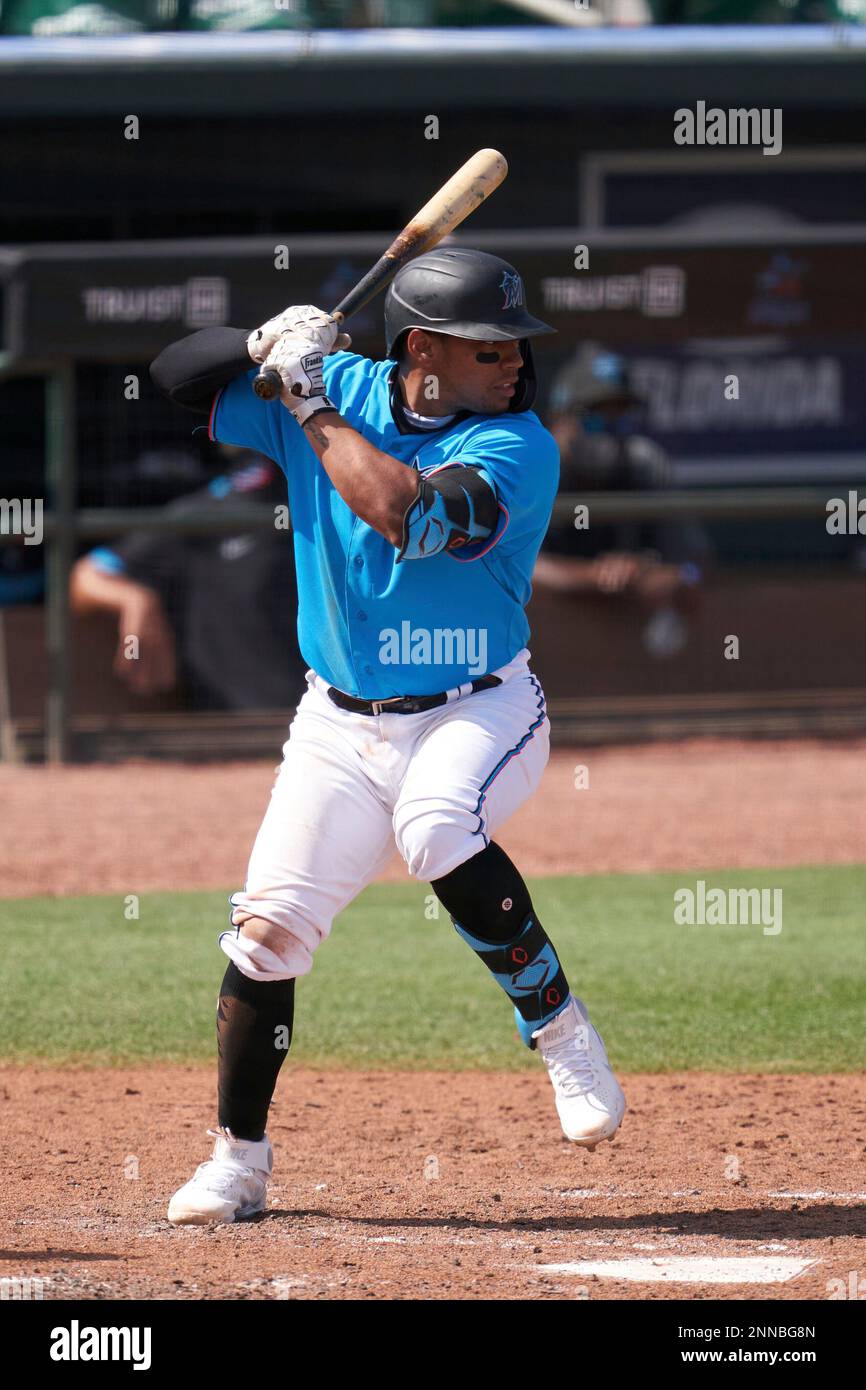 Miami Marlins Luis Marté (89) bats during a Major League Spring ...