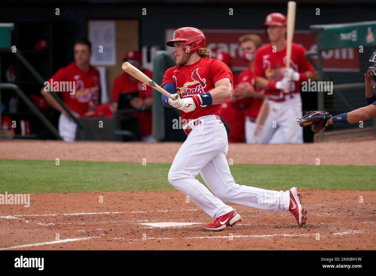 St. Louis Cardinals Harrison Bader (48) bats during a Major League ...