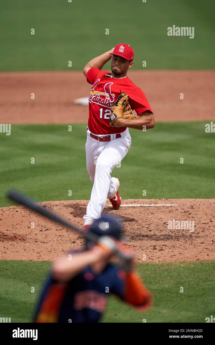St. Louis Cardinals pitcher Jordan Hicks (12) during a Major League ...