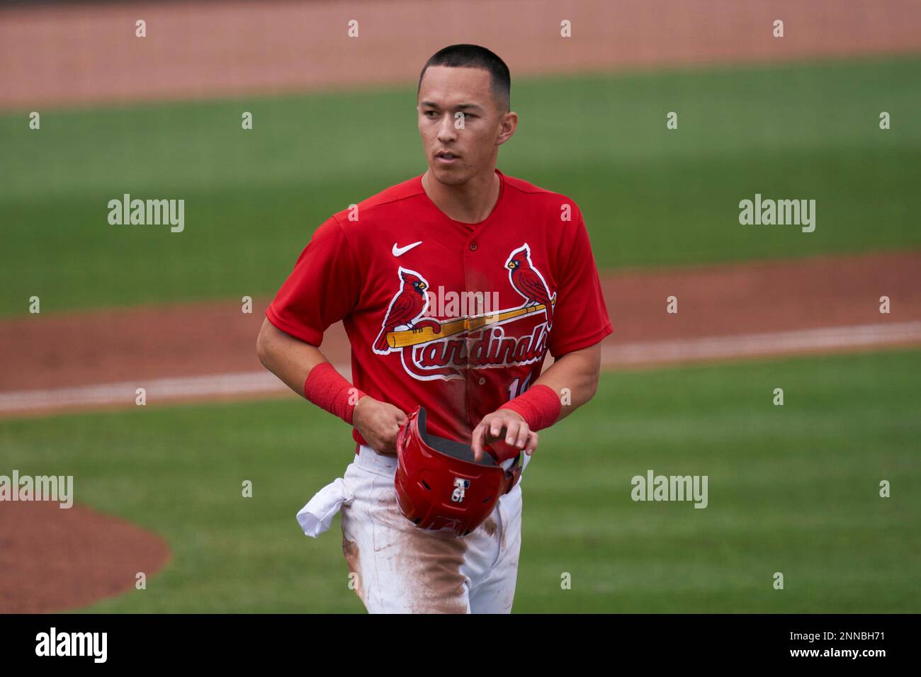 St. Louis Cardinals Tommy Edman (19) during a Major League Spring ...
