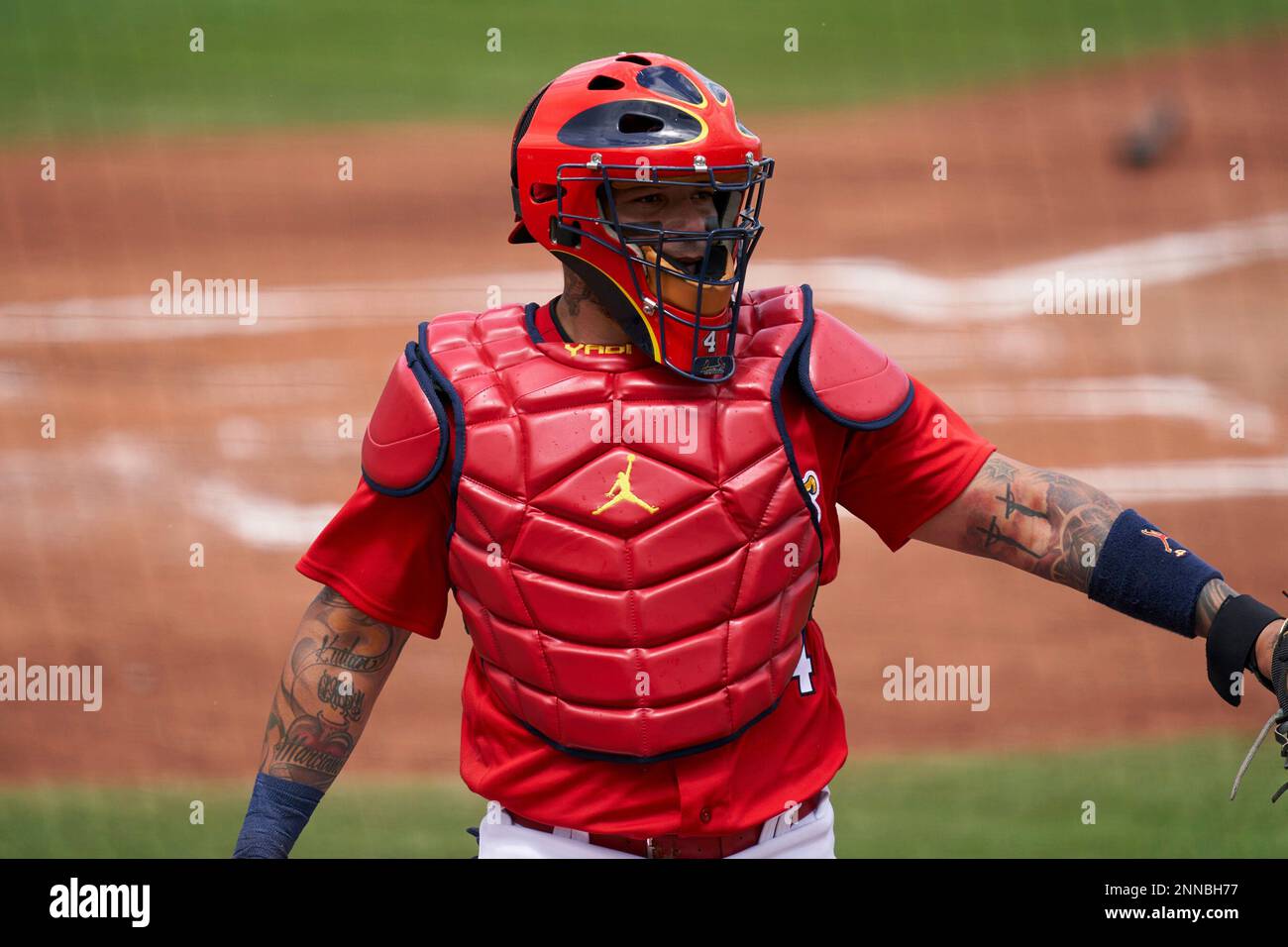 St. Louis Cardinals catcher Yadier Molina (4) during a Major League ...