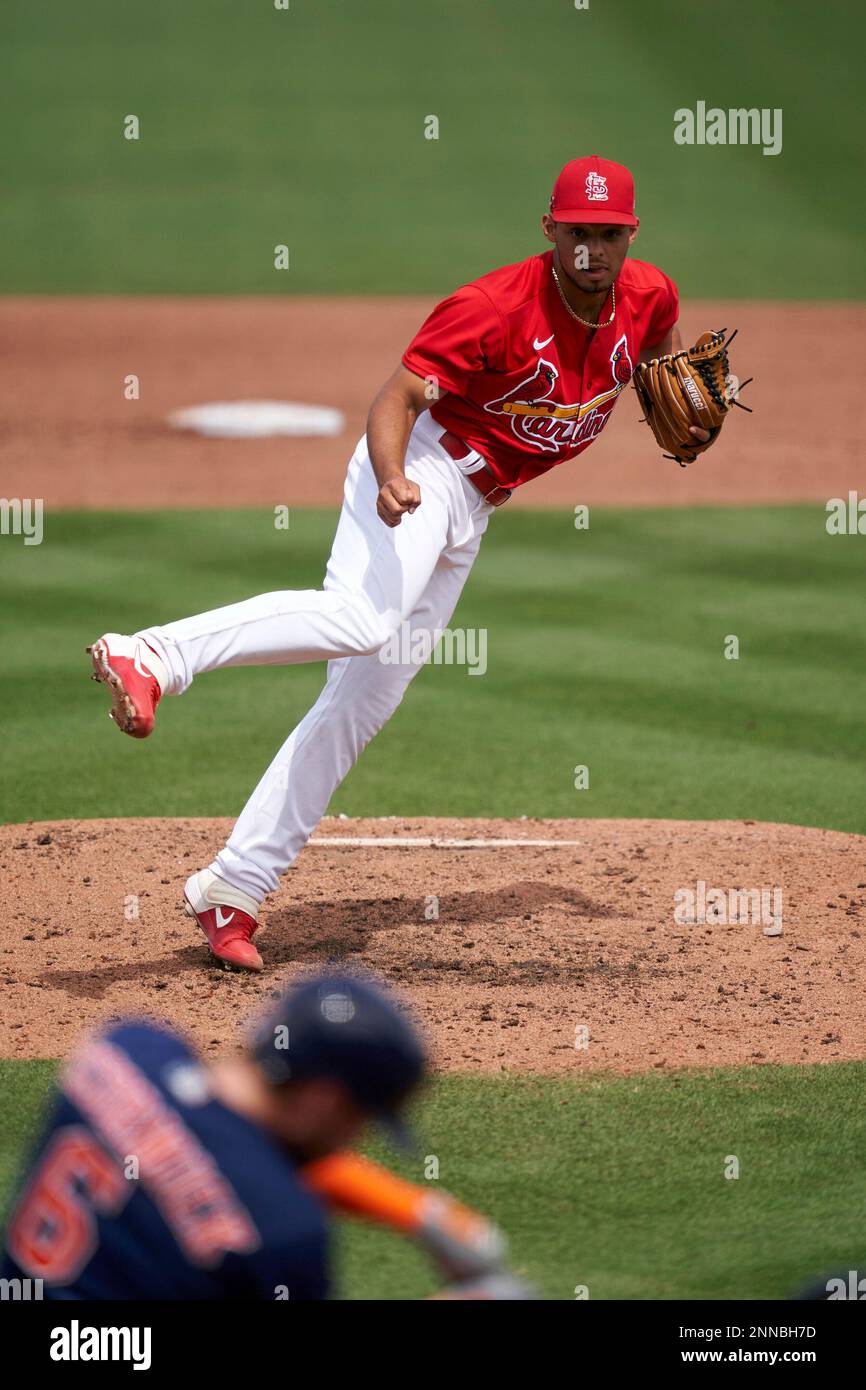 St. Louis Cardinals pitcher Jordan Hicks (12) during a Major League ...