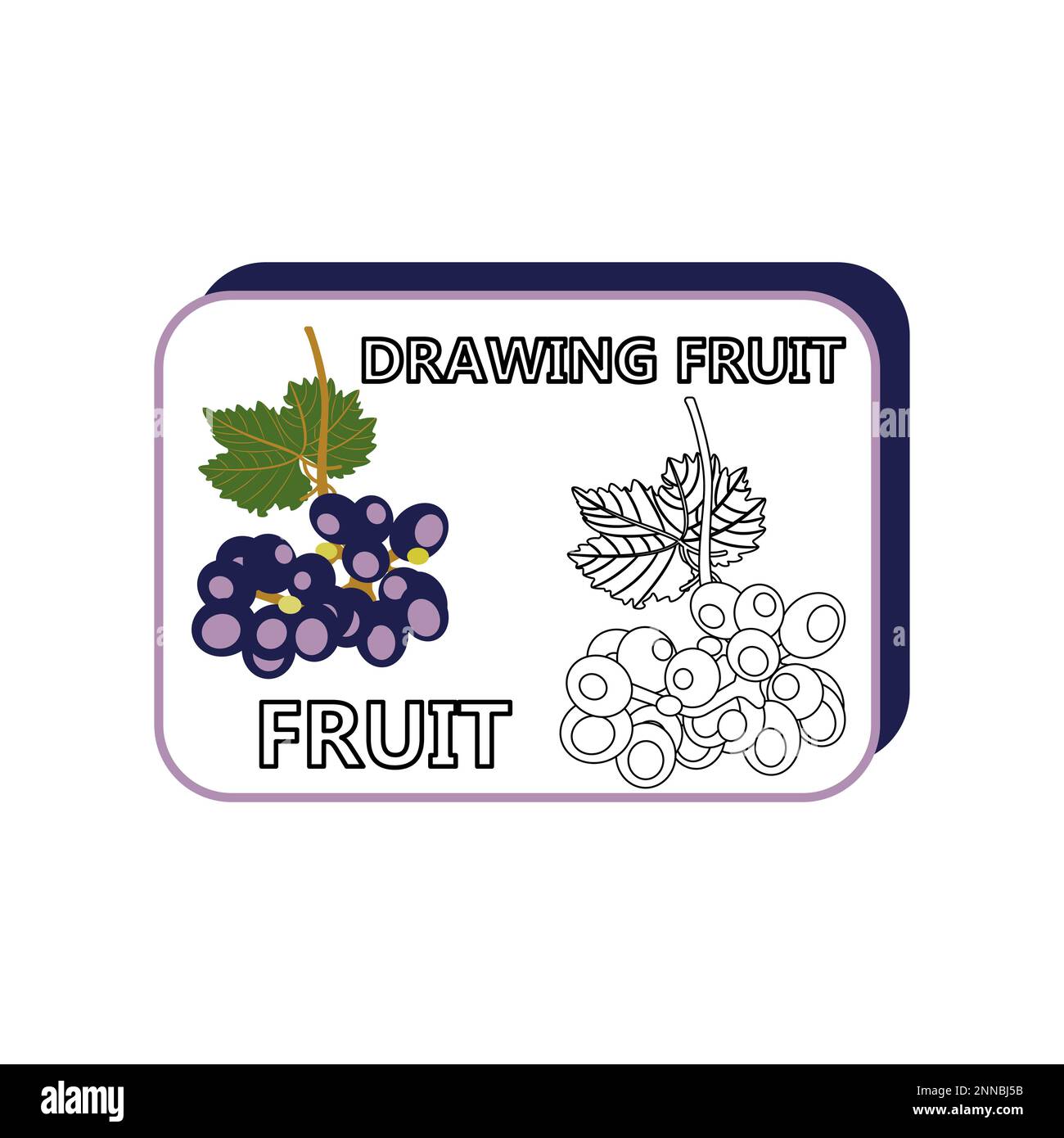 Vector set of grape bunches kids drawing. Child educational game page ...