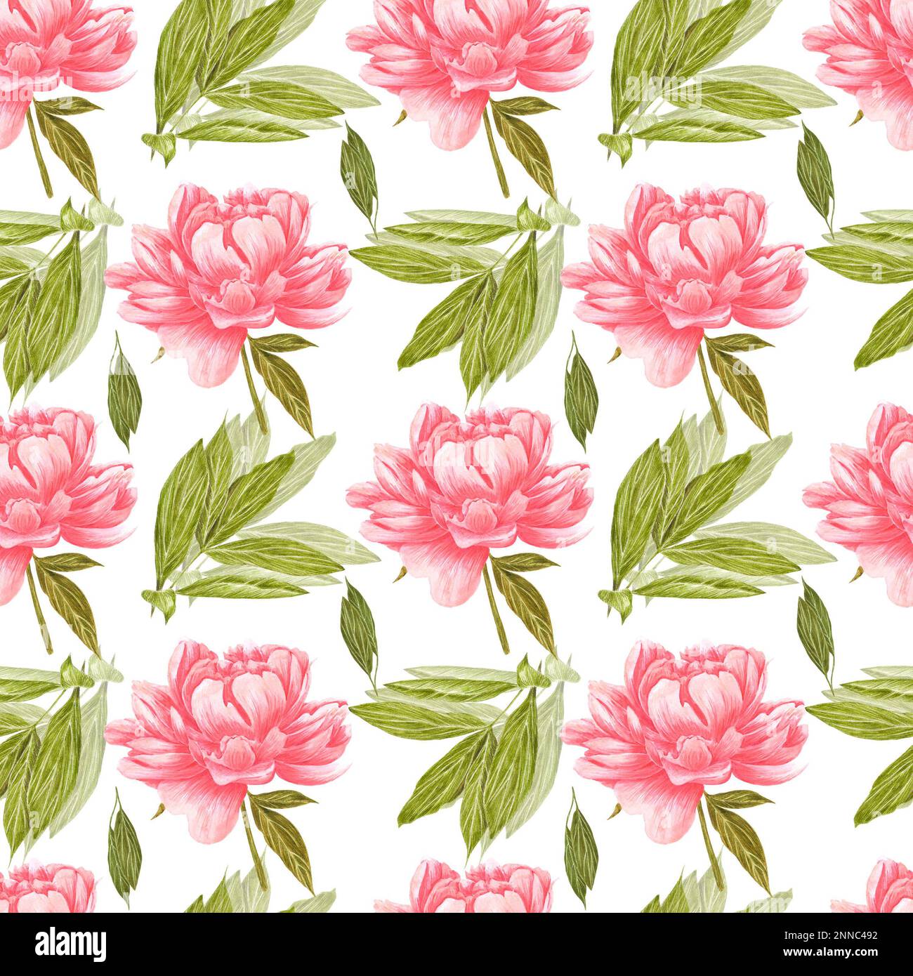 Handdrawn peony flowers seamless pattern. Watercolor pink peony with ...