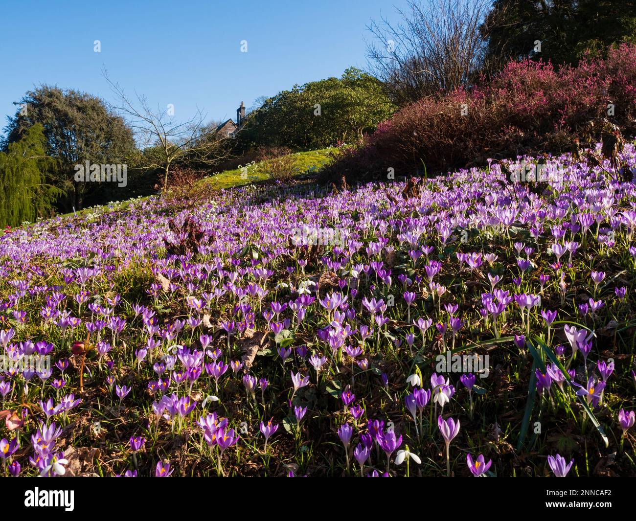 Corm house hi-res stock photography and images - Alamy