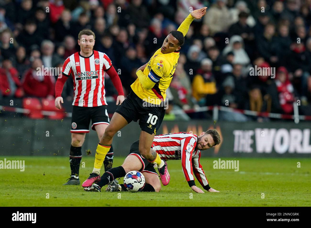 Jo o pedro hi-res stock photography and images - Alamy