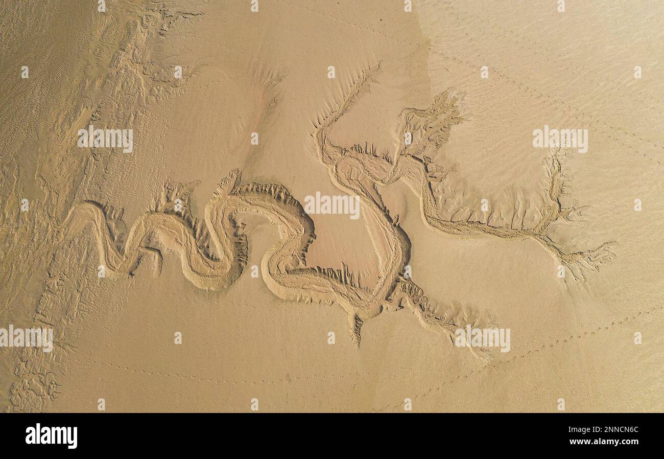 The majestic painting on the mud flat which are drew by nature in ...