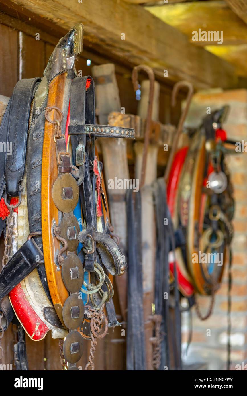 Old country farm, Moravska Nova Ves, Southern Moravia, Czech Republic ...