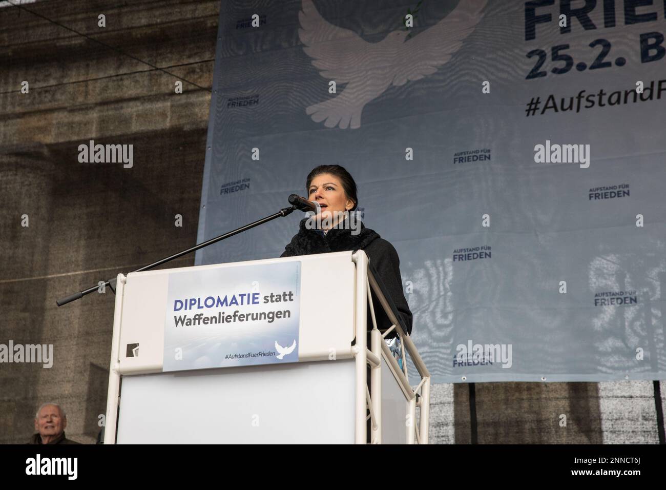 Thousands of people gathered on Saturday, February 25, 2023, at the ...