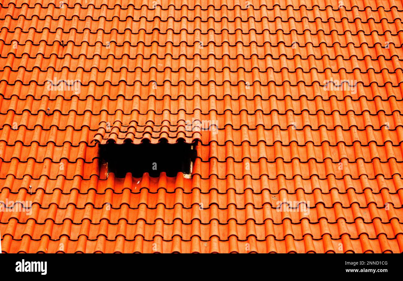 roofer work of a roof area window: velux style roof light window in red ...