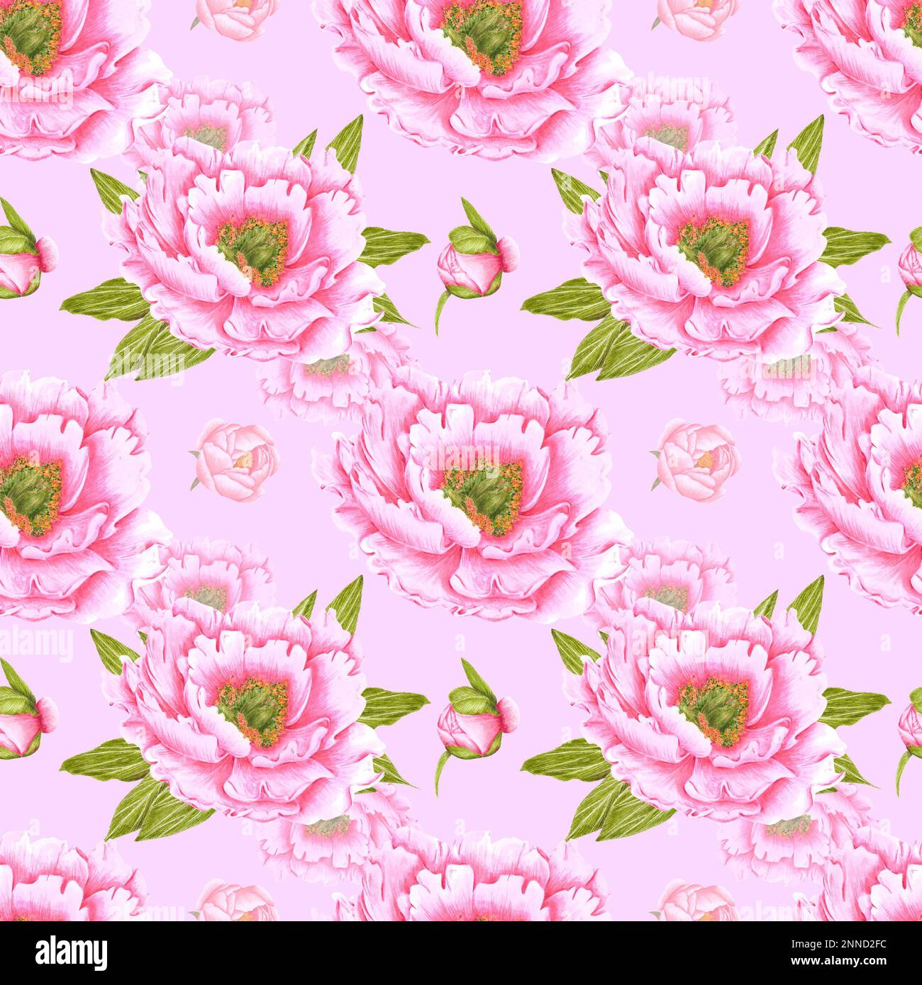 Handdrawn peony flowers seamless pattern. Watercolor pink peony with ...
