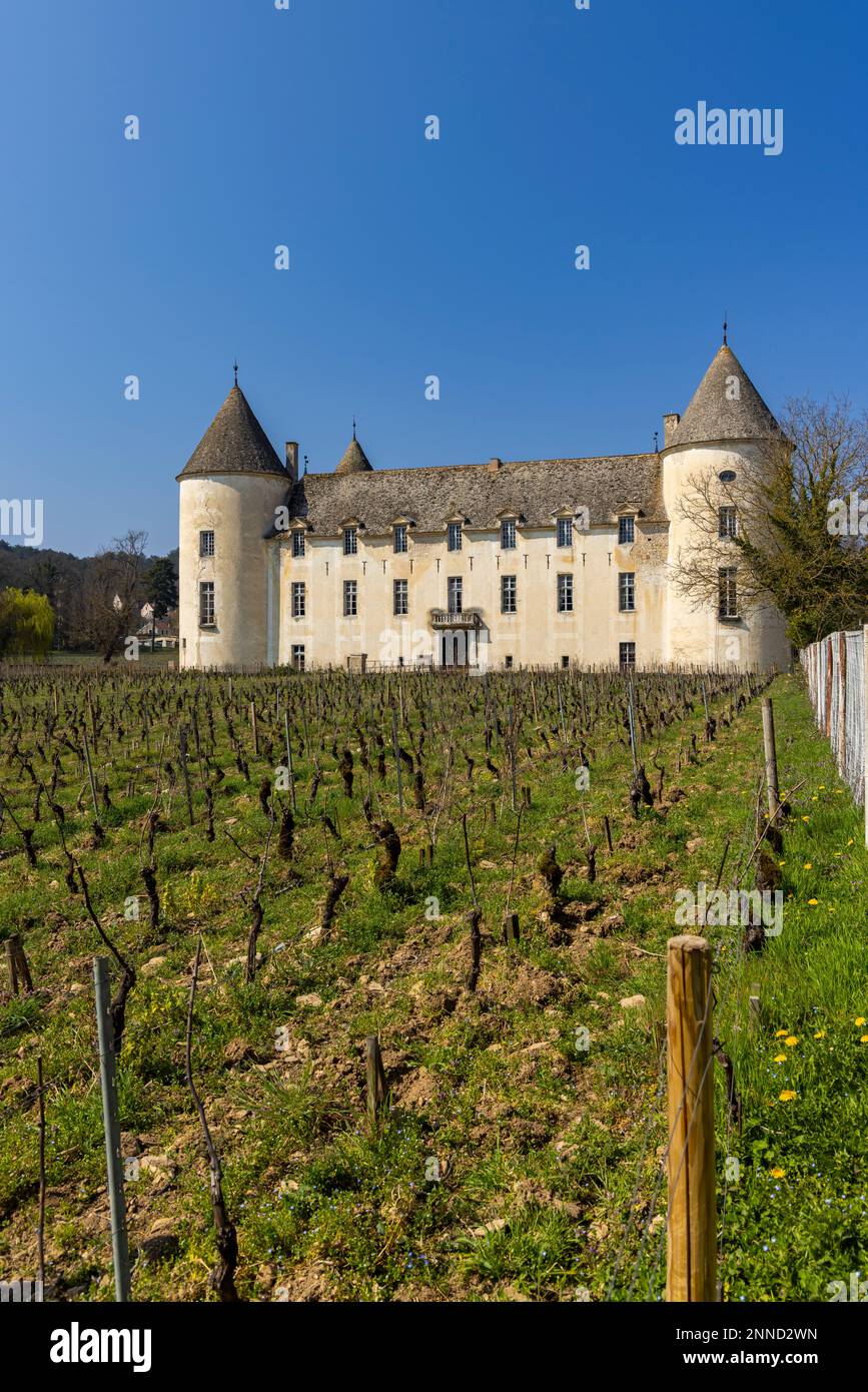 Savigny-les-Beaune castle (Chateau de Savigny-les-Beaune), Cote de ...