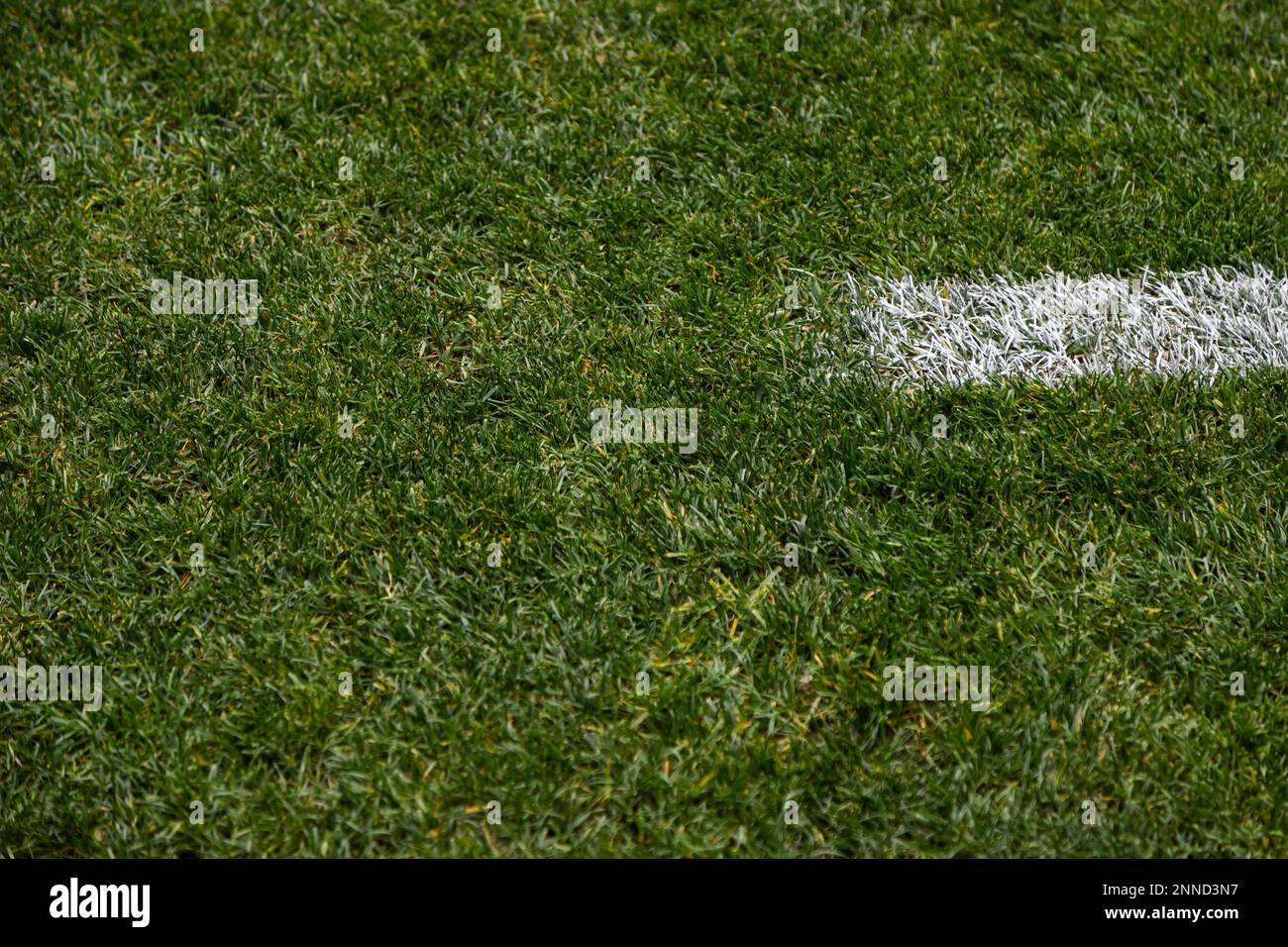 Soccer Field Line detail for Backgrounds or Texture Stock Photo - Alamy
