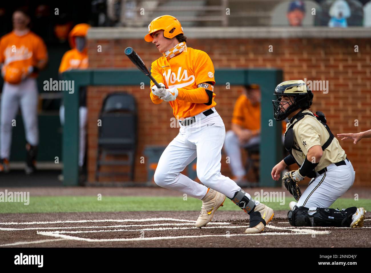 Tennessee Volunteers third baseman Jake Rucker (7) at bat against the ...