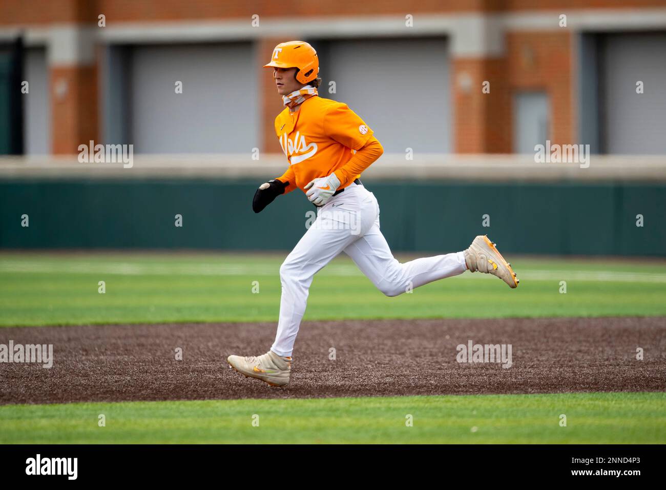 Tennessee Volunteers third baseman Jake Rucker (7) in action against ...