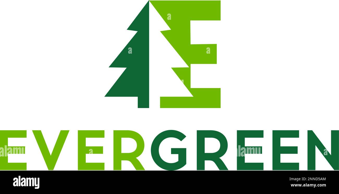 Eco logo, evergreen logo, vector logo template. Woods icon graphic ...