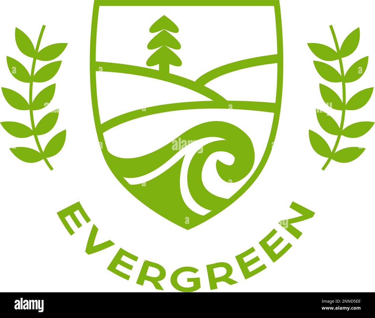 Eco logo, evergreen logo, vector logo template. Wood icon graphic ...