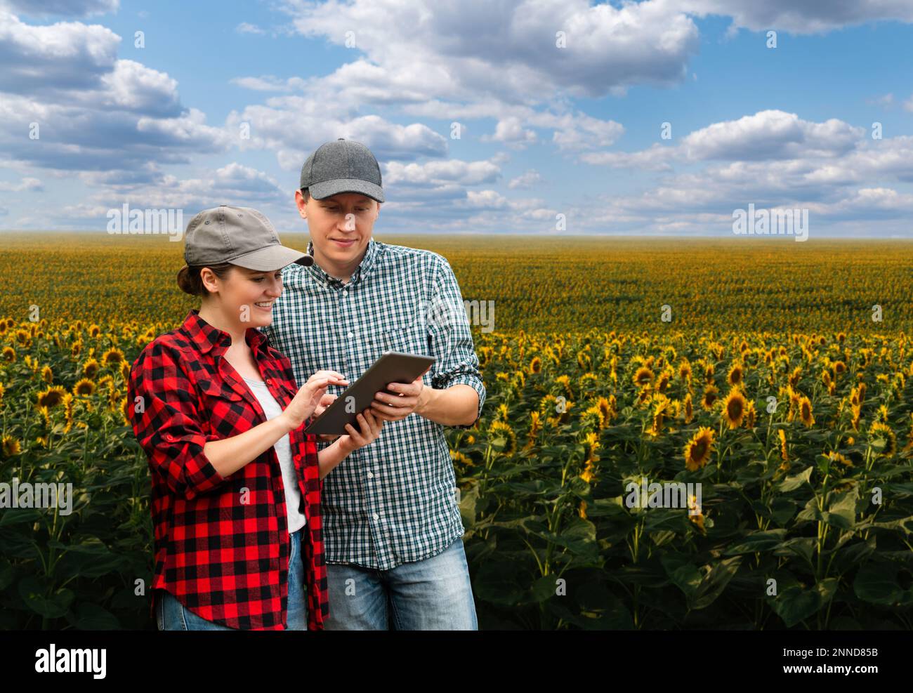 Farmers couple looking at tablet hi-res stock photography and images - Alamy