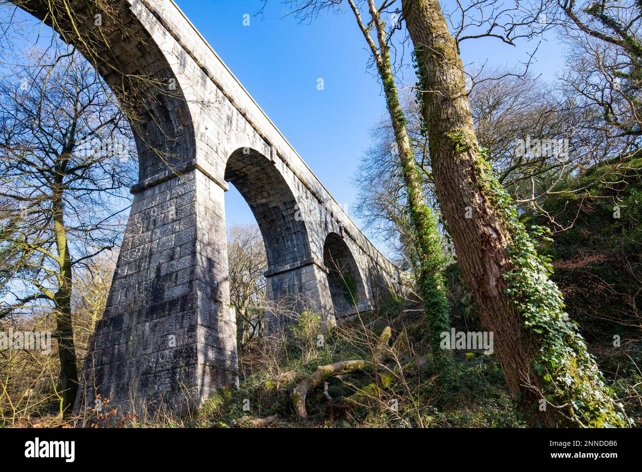 Blue sky over Treffry Viaduct in Par, Cornwall Stock Photo - Alamy