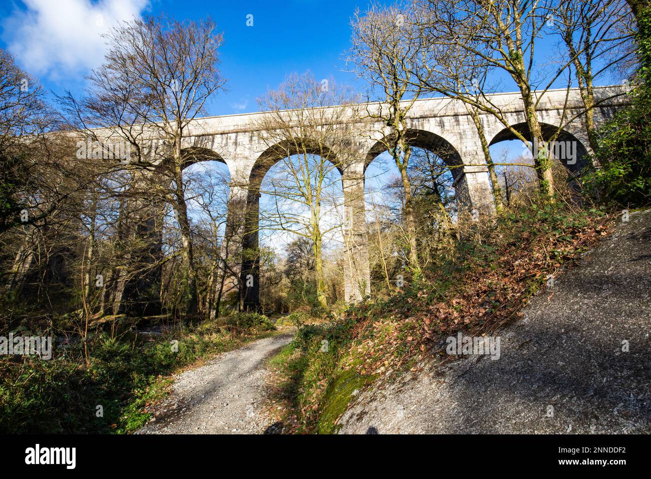 Cornwall treffry viaduct hi-res stock photography and images - Alamy
