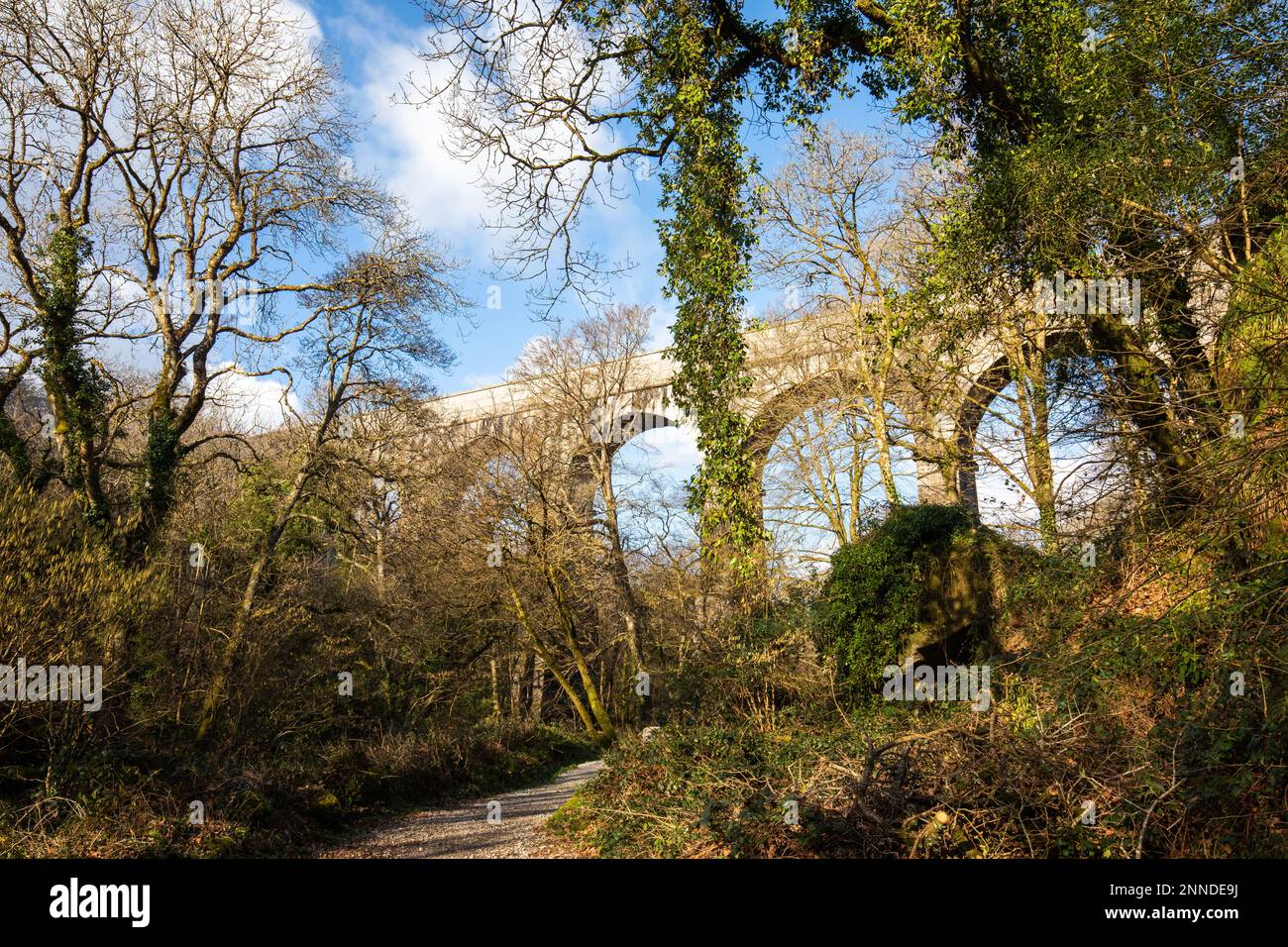 Cornwall treffry viaduct hi-res stock photography and images - Alamy