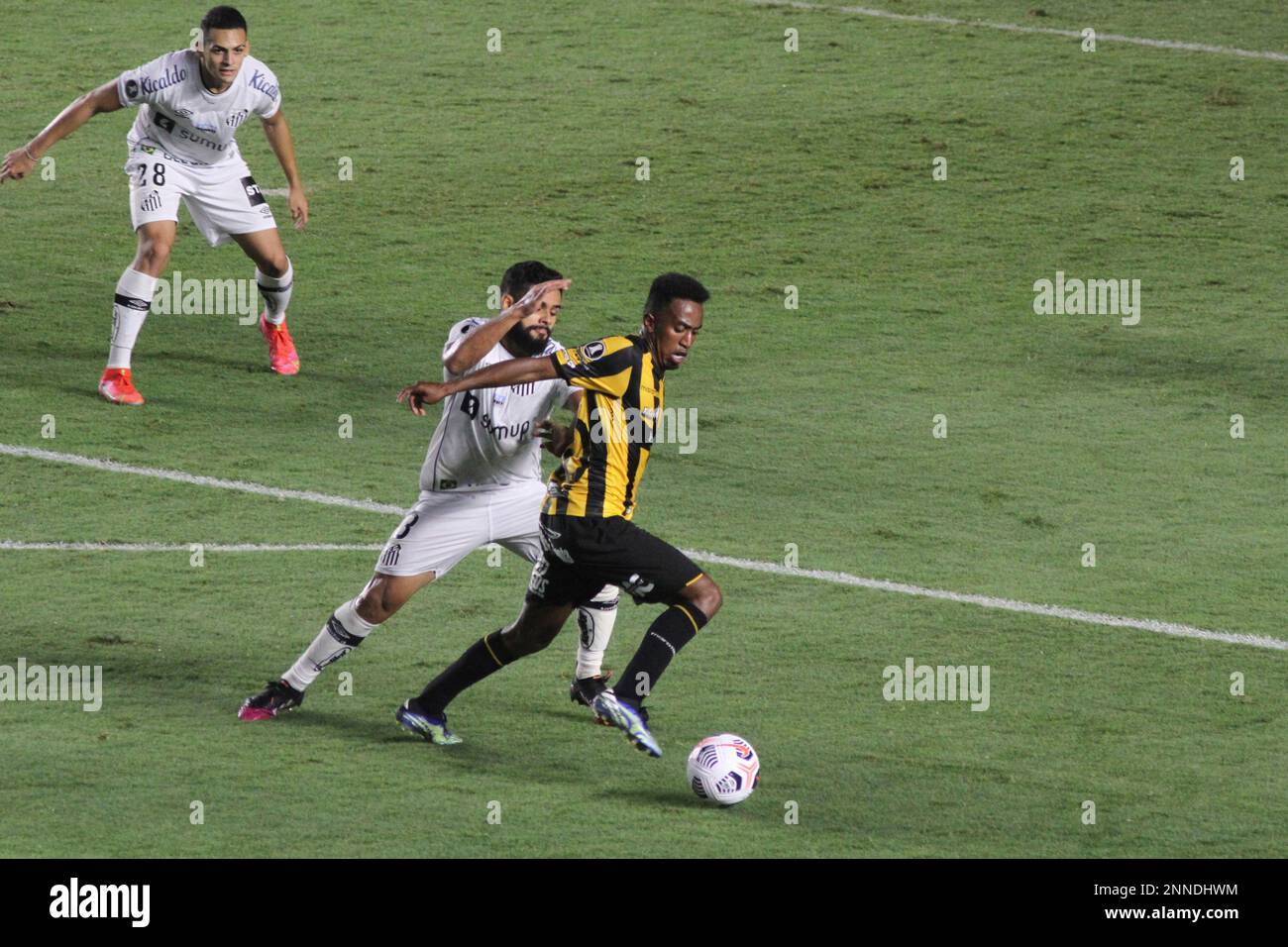 SP - Santos - 05/05/2021 - LIBERTADORES 2021 - SANTOS X THE STRONGEST ...