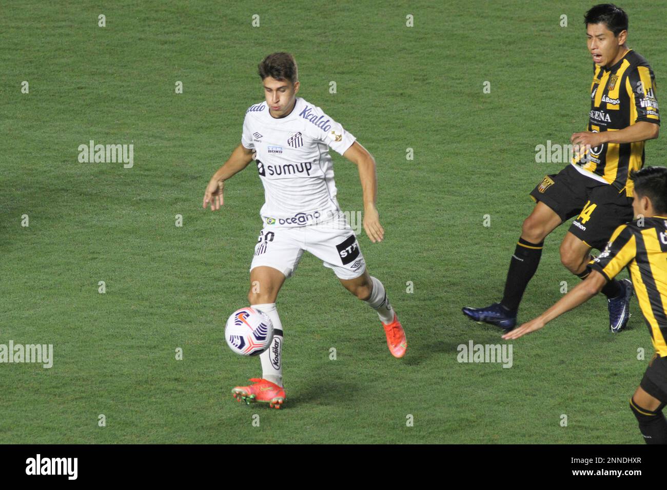 SP - Santos - 05/05/2021 - LIBERTADORES 2021 - SANTOS X THE STRONGEST ...