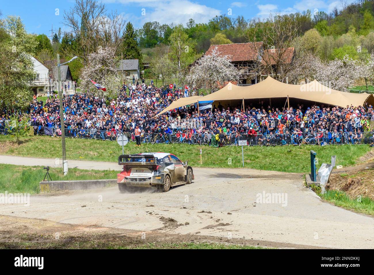 Elfyn Evans driving his Toyota Gazoo Racing Yaris race car at Croatia ...