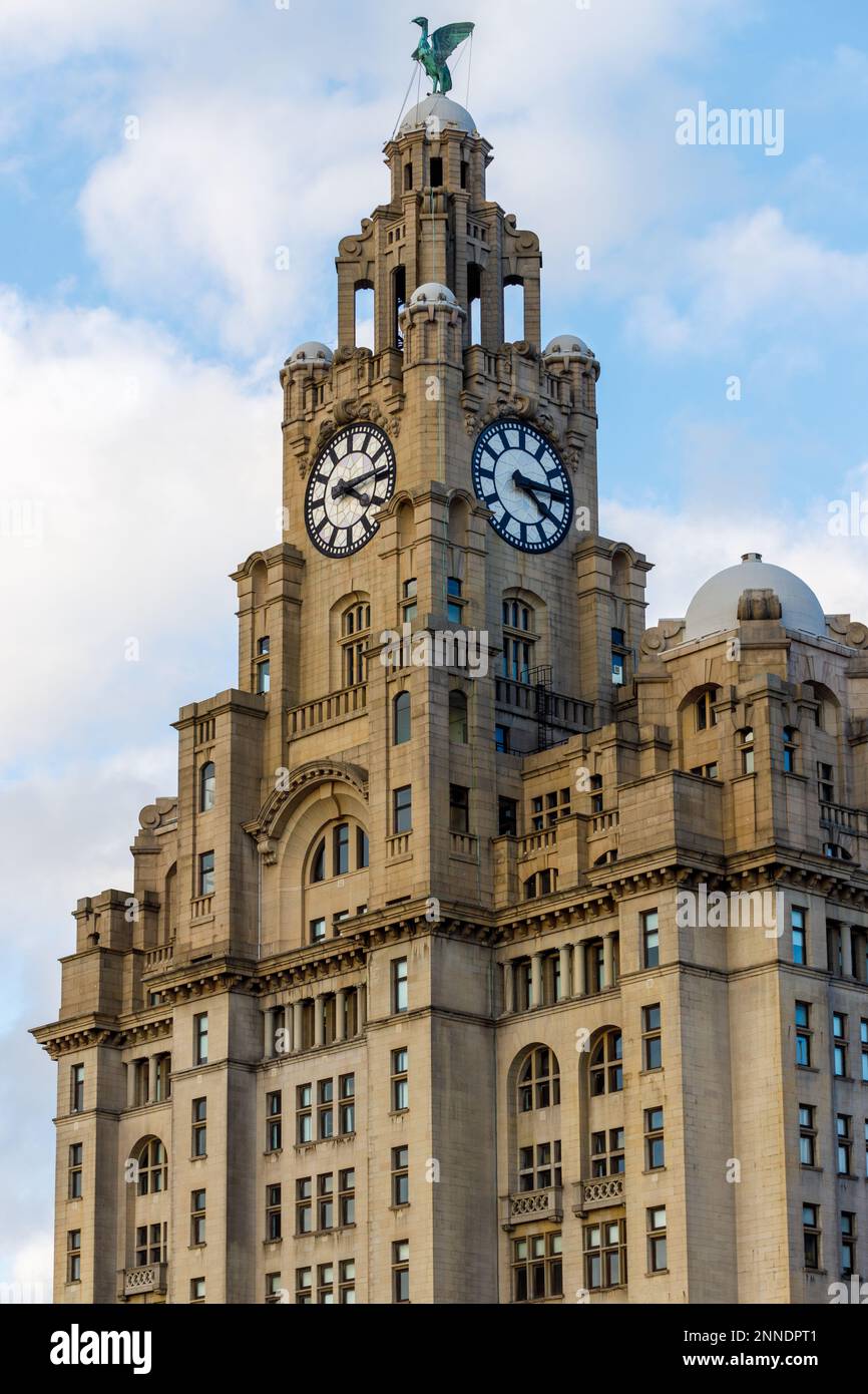 Royal Liver Building facade with 2 clock faces which are 25ft (7.5m) in ...