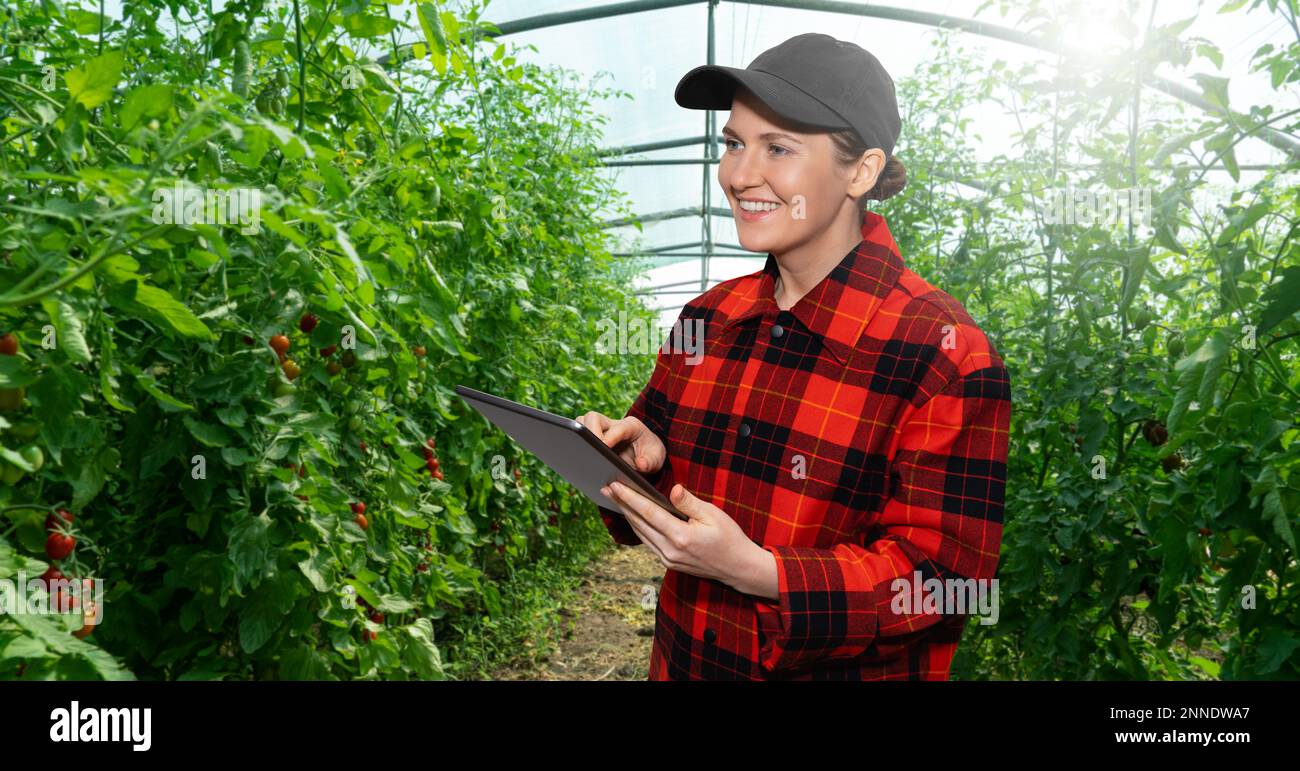 A woman farmer with tablet. Smart farming and digital agriculture Stock ...