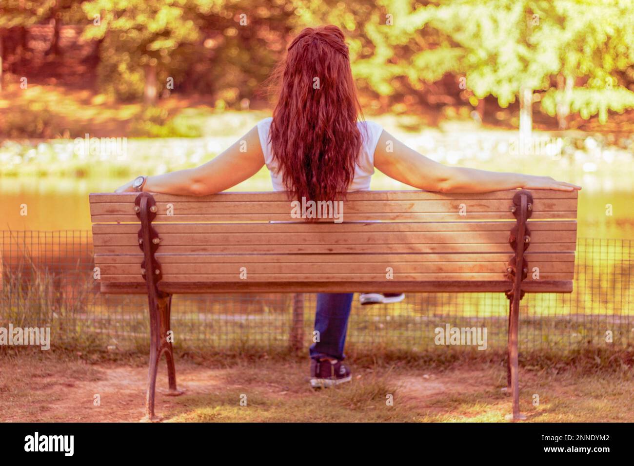 Woman is sitting and resting on the bench with her back turned Stock ...