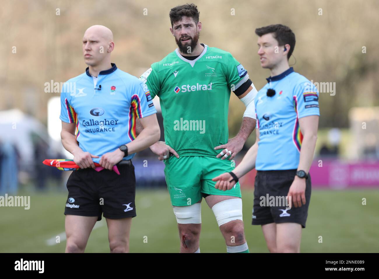 Greg peterson of newcastle falcons hi-res stock photography and images ...