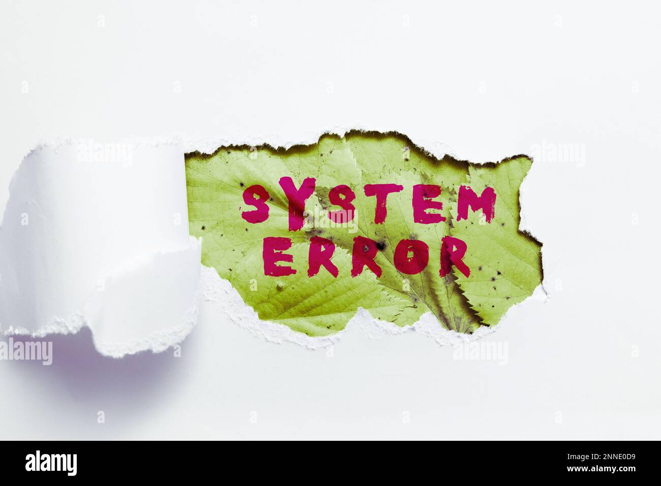 Conceptual display System Error. Business overview Technological ...