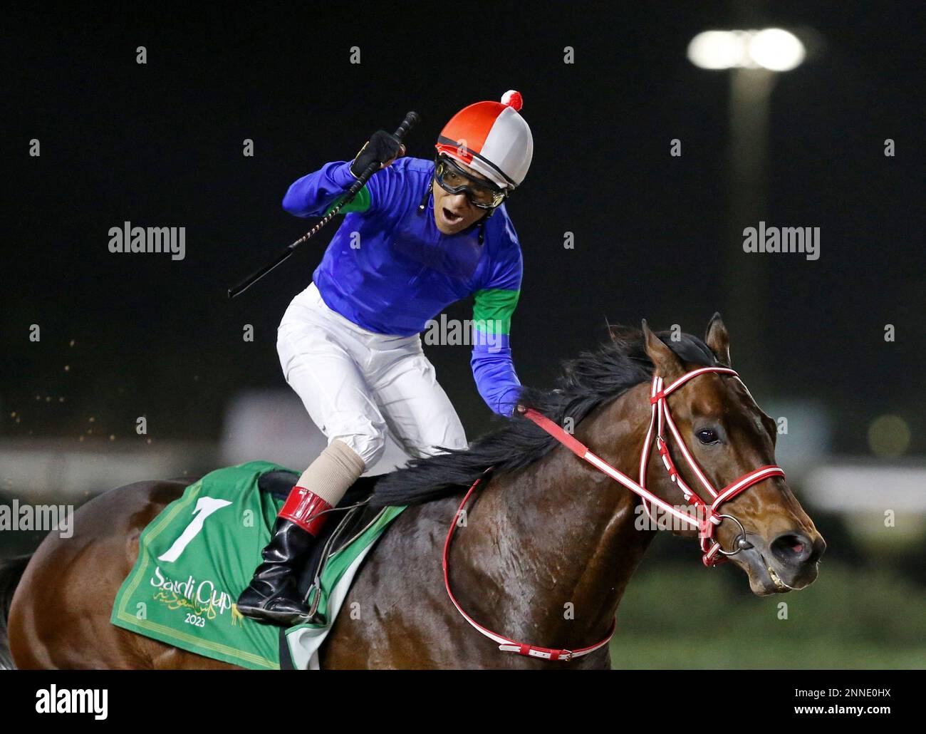 Panthalassa horse hi-res stock photography and images - Alamy