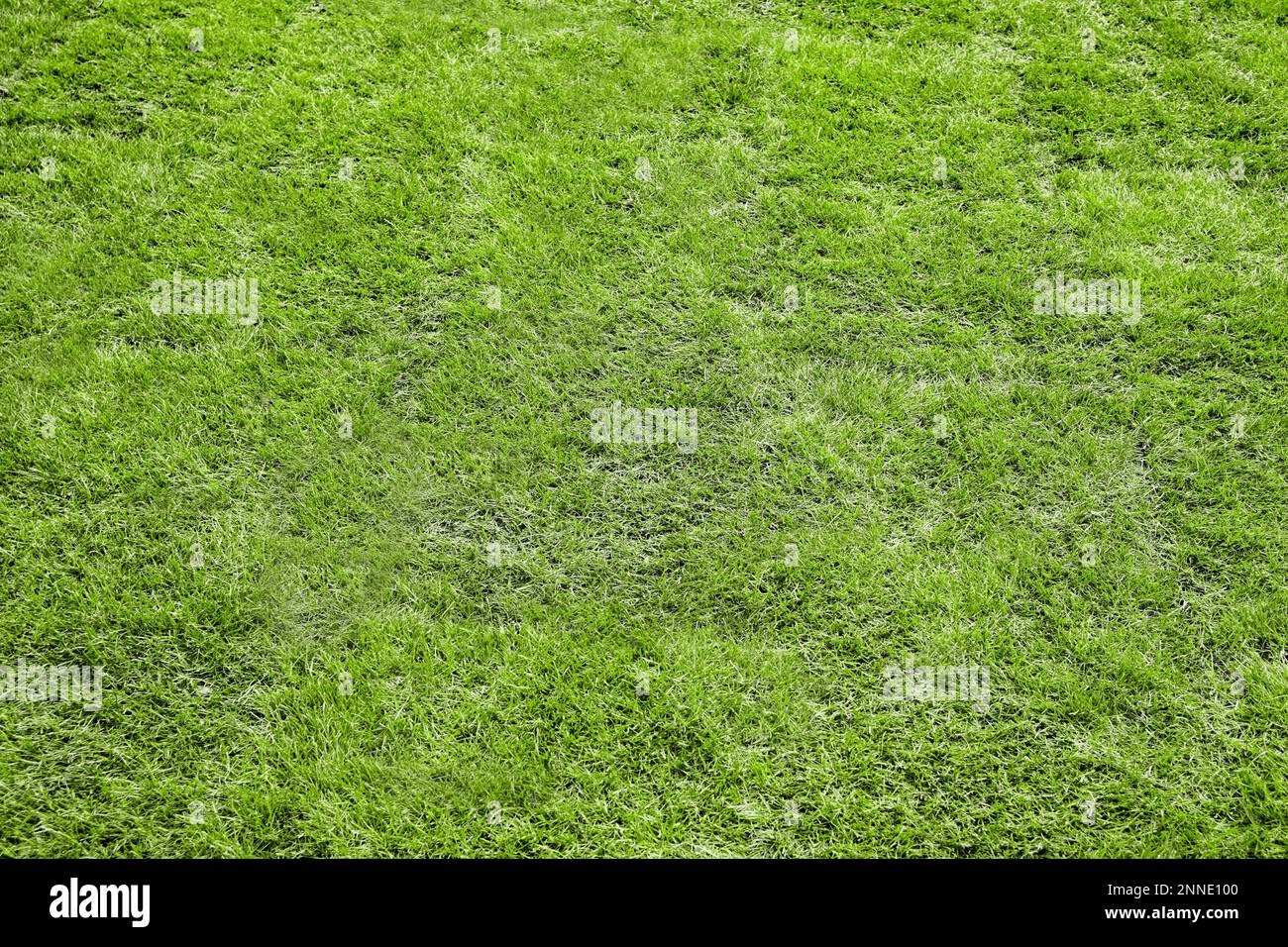 Lawn horizontal hi-res stock photography and images - Alamy