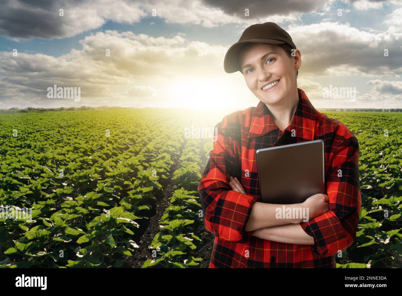 A woman farmer with tablet. Smart farming and digital agriculture Stock ...
