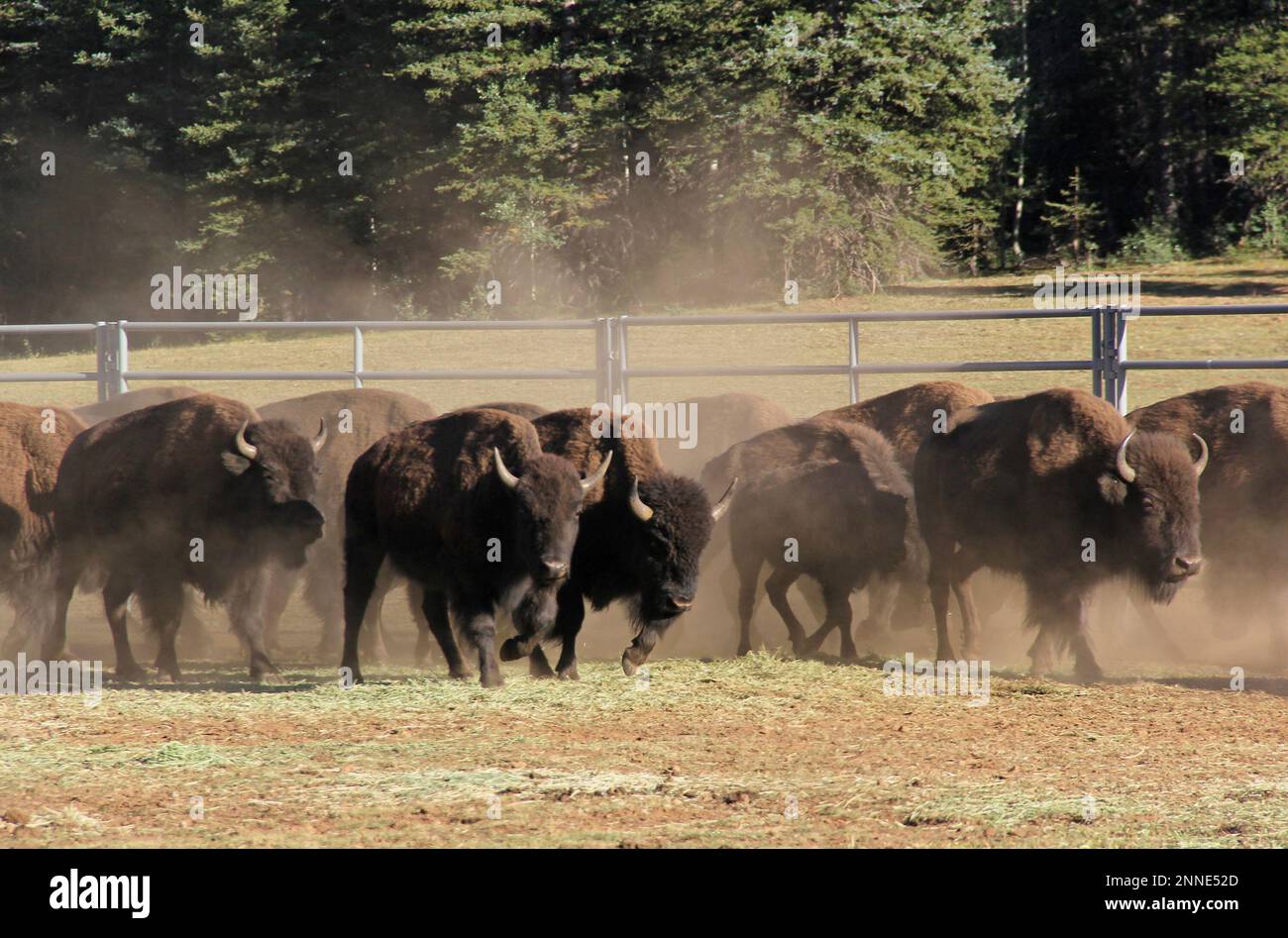 FILE - In this Sept. 13, 2019, file photo, provided by the National ...